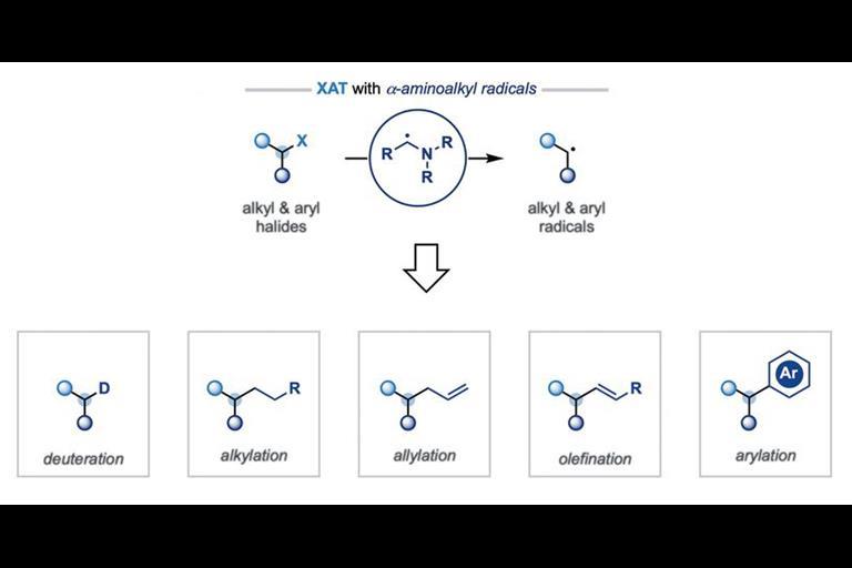 Nitrogen radical chemistry sees the light | Research | Chemistry World
